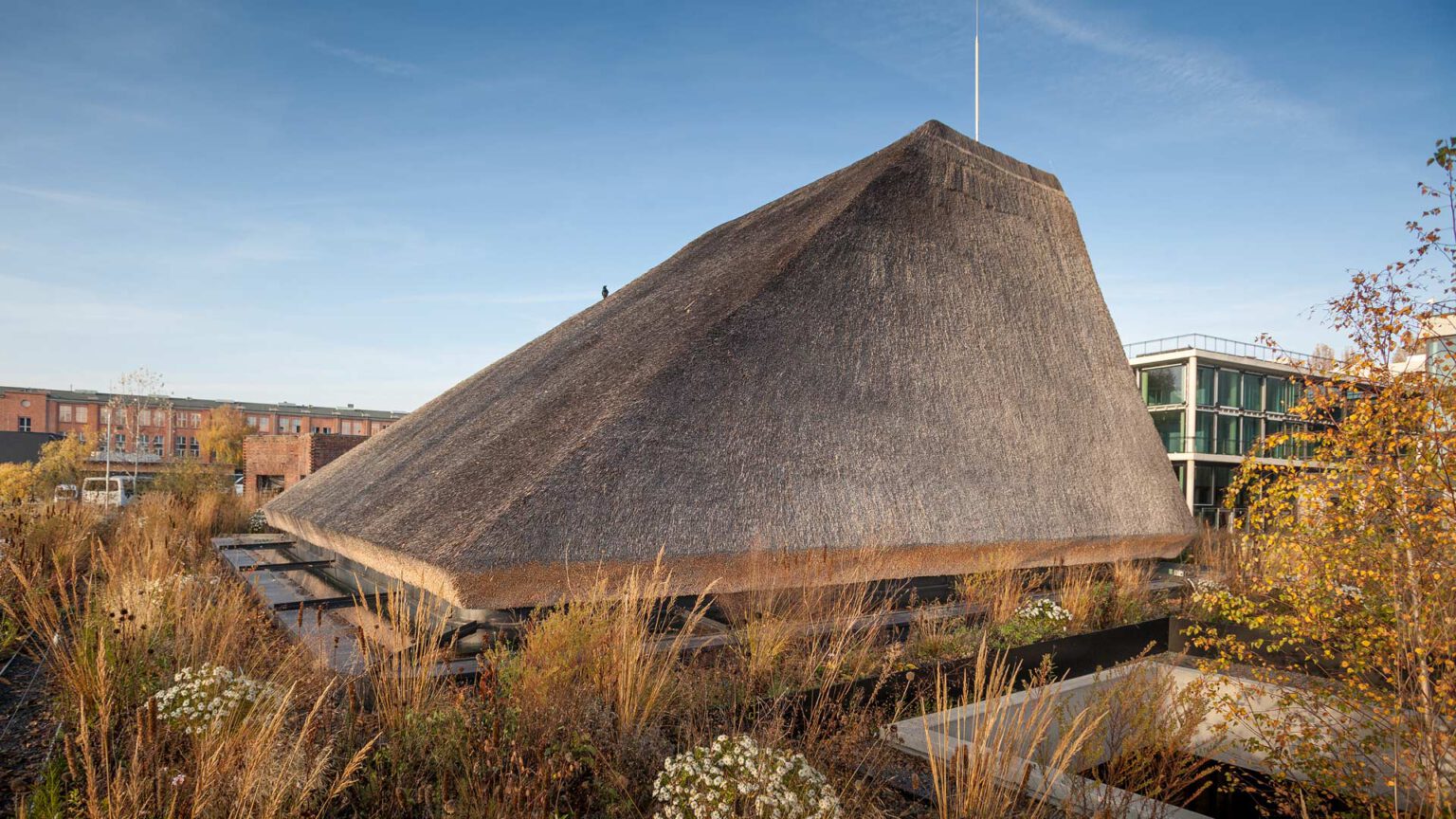 The Reethaus in Berlin-Lichtenberg - IHR REETDACHDECKER FÜR BERLIN ...