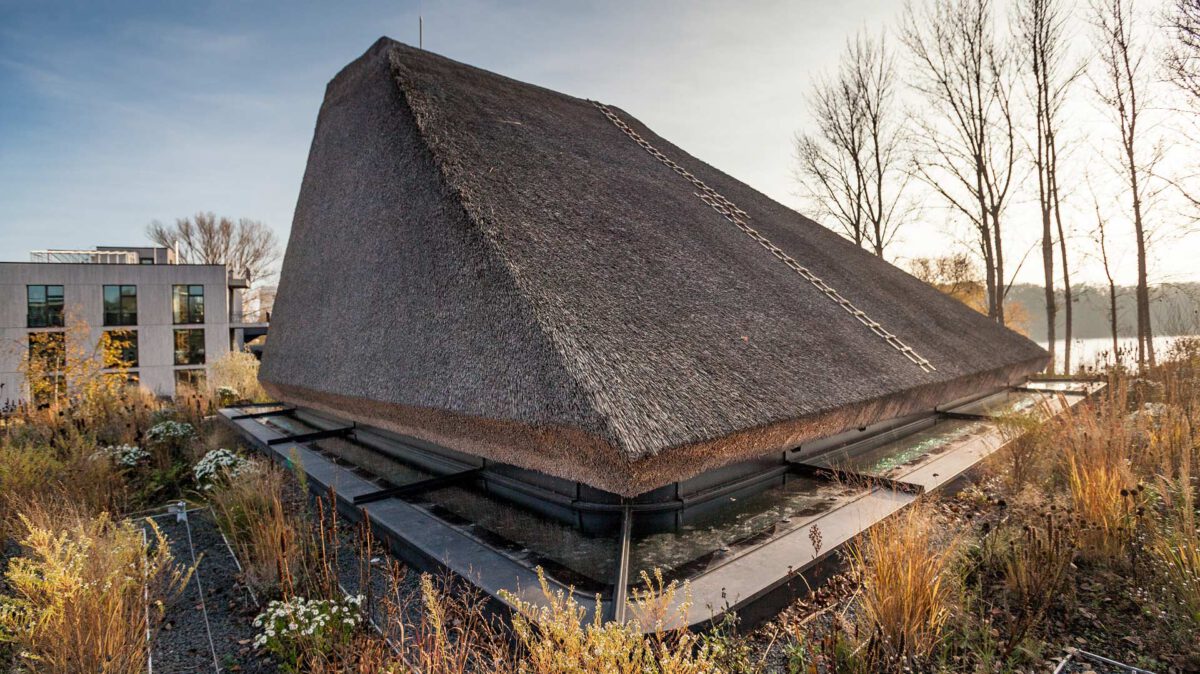 The Reethaus in Berlin-Lichtenberg - IHR REETDACHDECKER FÜR BERLIN ...