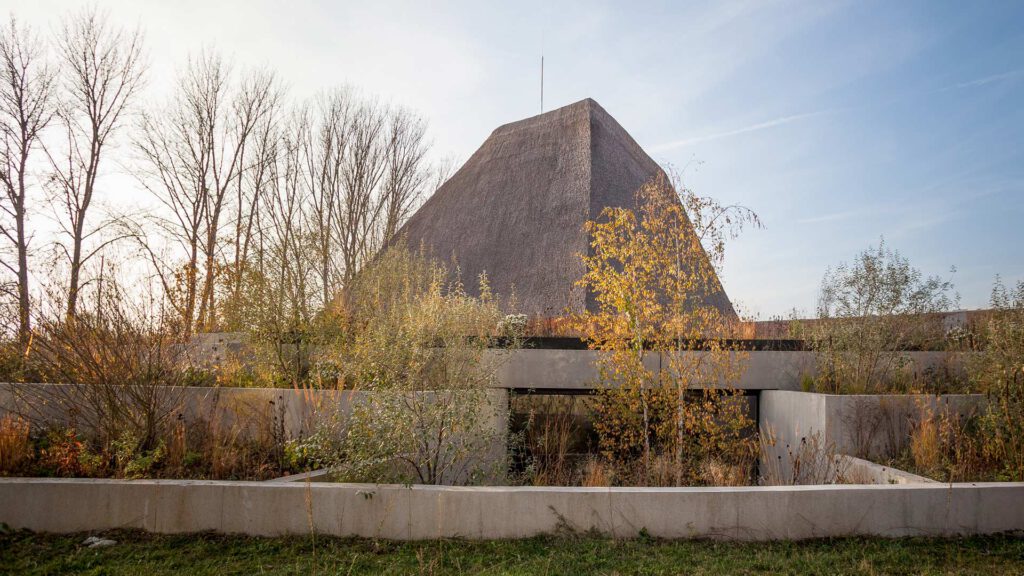 The Reethaus in Berlin-Lichtenberg - IHR REETDACHDECKER FÜR BERLIN ...